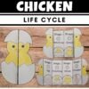Life Cycle of a Chicken : Cut and Paste Foldable Sequencing craft - The ...